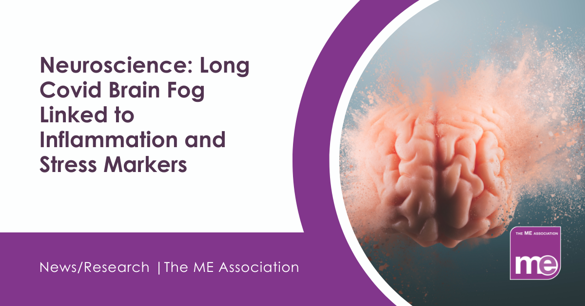 Neuroscience: Long Covid Brain Fog Linked to Inflammation and Stress ...